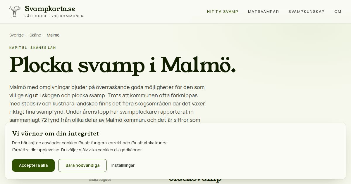 Svamp i Malmö – karta & tips | Svampkarta